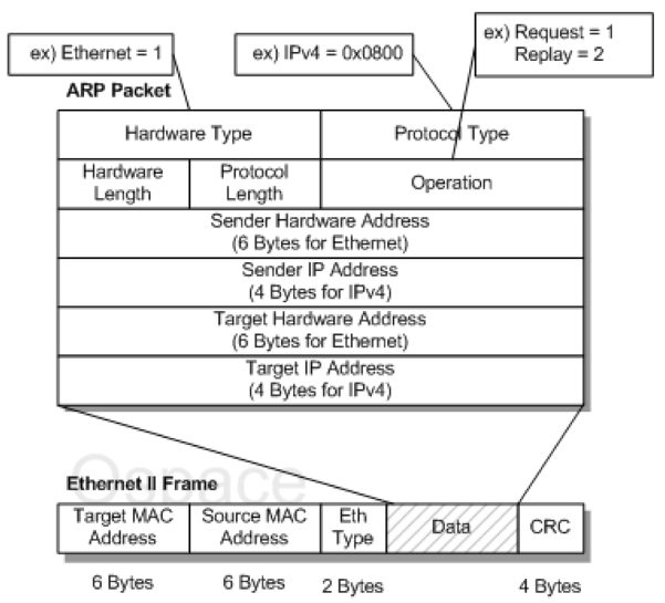 [Network] ARP (Address Resolution Protocol) | Brain Backup